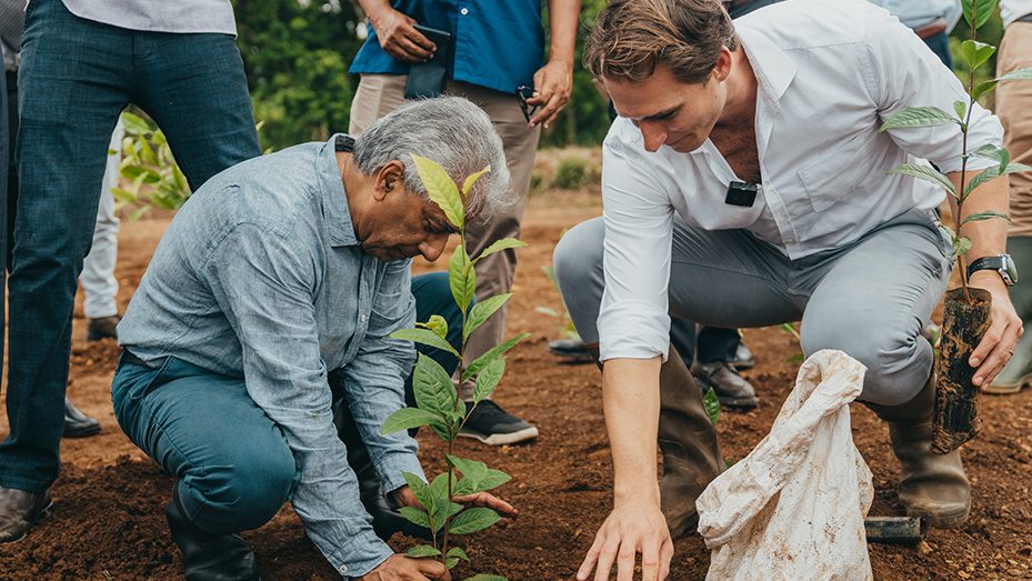 ENL Group, now ER Group, launches its new tea venture in Mauritius on ...